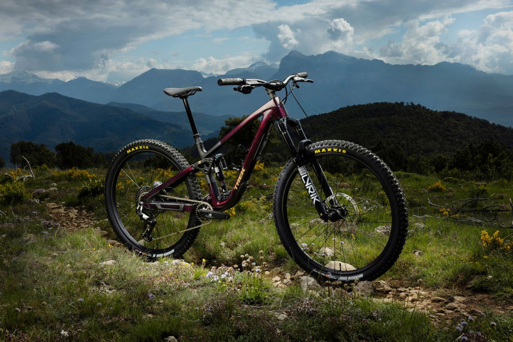 Venture Cycles